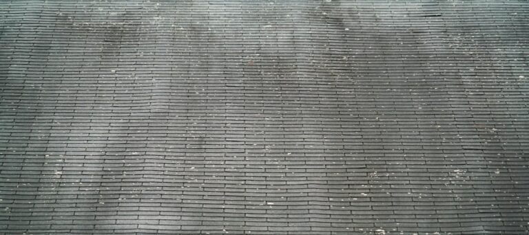 How To Remove Mold From Roof Shingles Easily? (5 Steps)