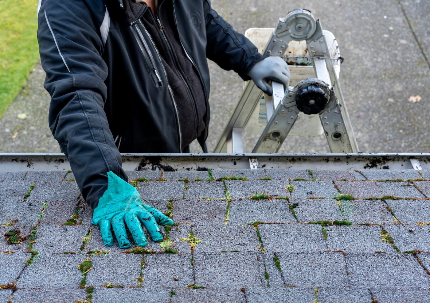 How To Remove Mold From Roof Shingles Easily? (5 Steps)