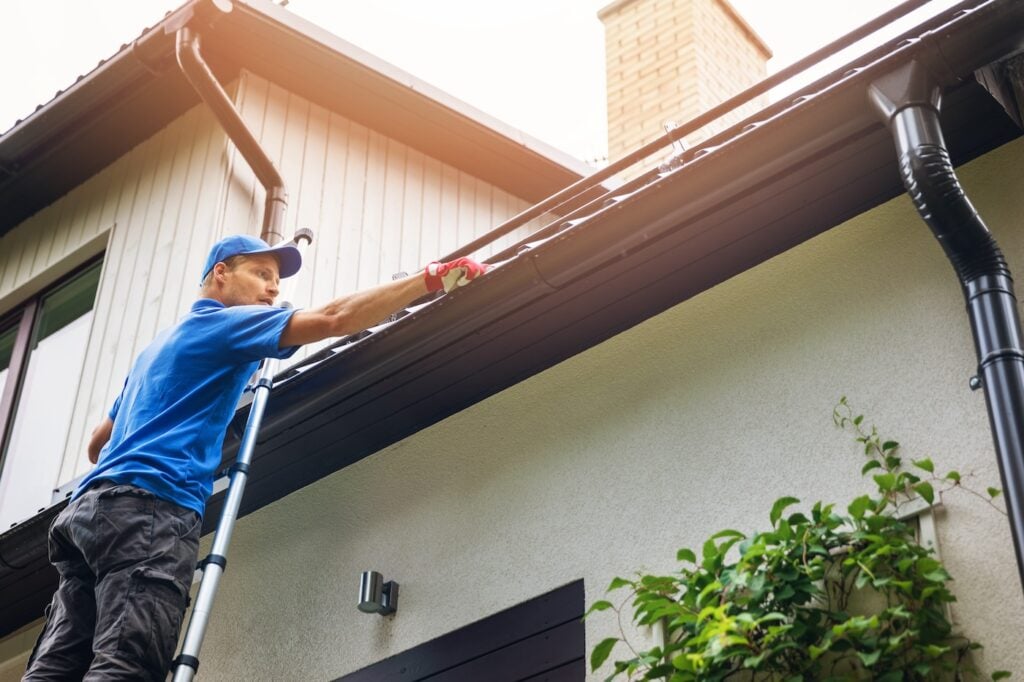 How To Remove Mold From Roof Shingles Easily? (5 Steps)